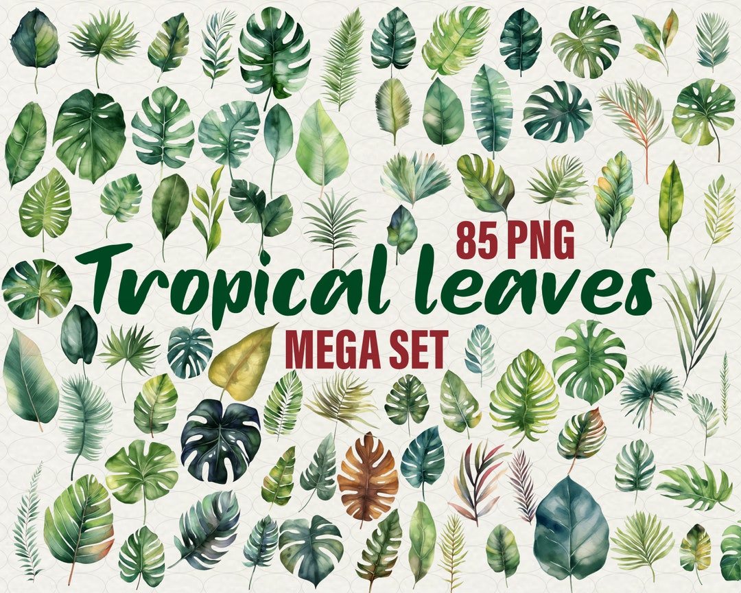 Watercolor Tropical Leaves Clipart, Tropical Leaf 85 PNG Clip Art ...