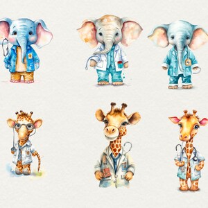 Watercolor Doctor Animals Clipart, 25 PNG Doctor Baby Animal Clipart ...
