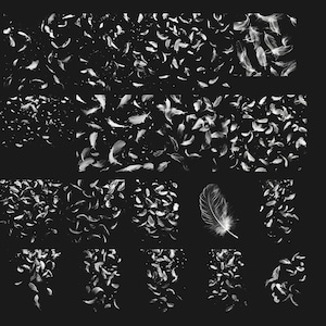 Falling Feather Overlays, Feather Png, Floating Feathers, Photoshop ...