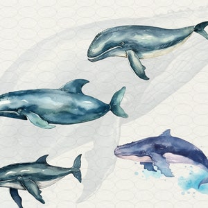 Watercolor Whales Clipart, Orca, Narwhal, Blue Whale, 20 Png Whale ...