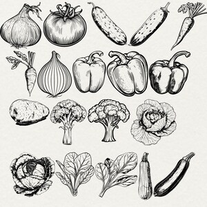 Vegetable Clipart Bundle: 54 PNG & SVG Illustrations (commercial Use ...