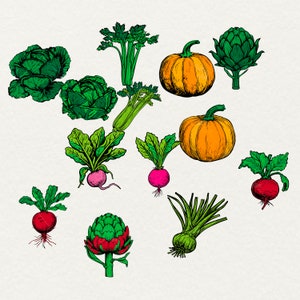 Vegetables Svg Bundle, Veggie Png/ Svg Clipart, Farmers Market, Healthy ...