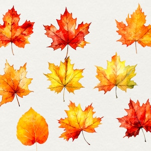 Watercolor Autumn Leaves Clipart, 58 PNG Mega Set Bundle Watercolor ...