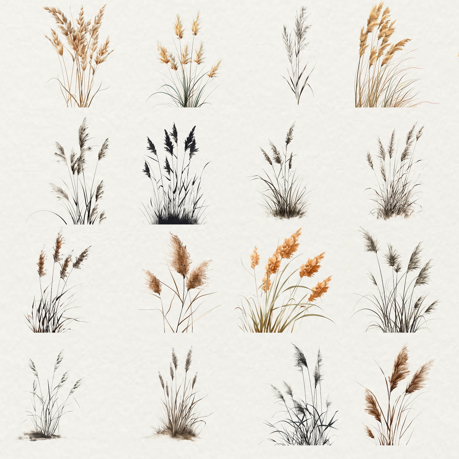 Boho Grass Clipart: 50 Watercolor Floral PNG Illustrations (digital ...