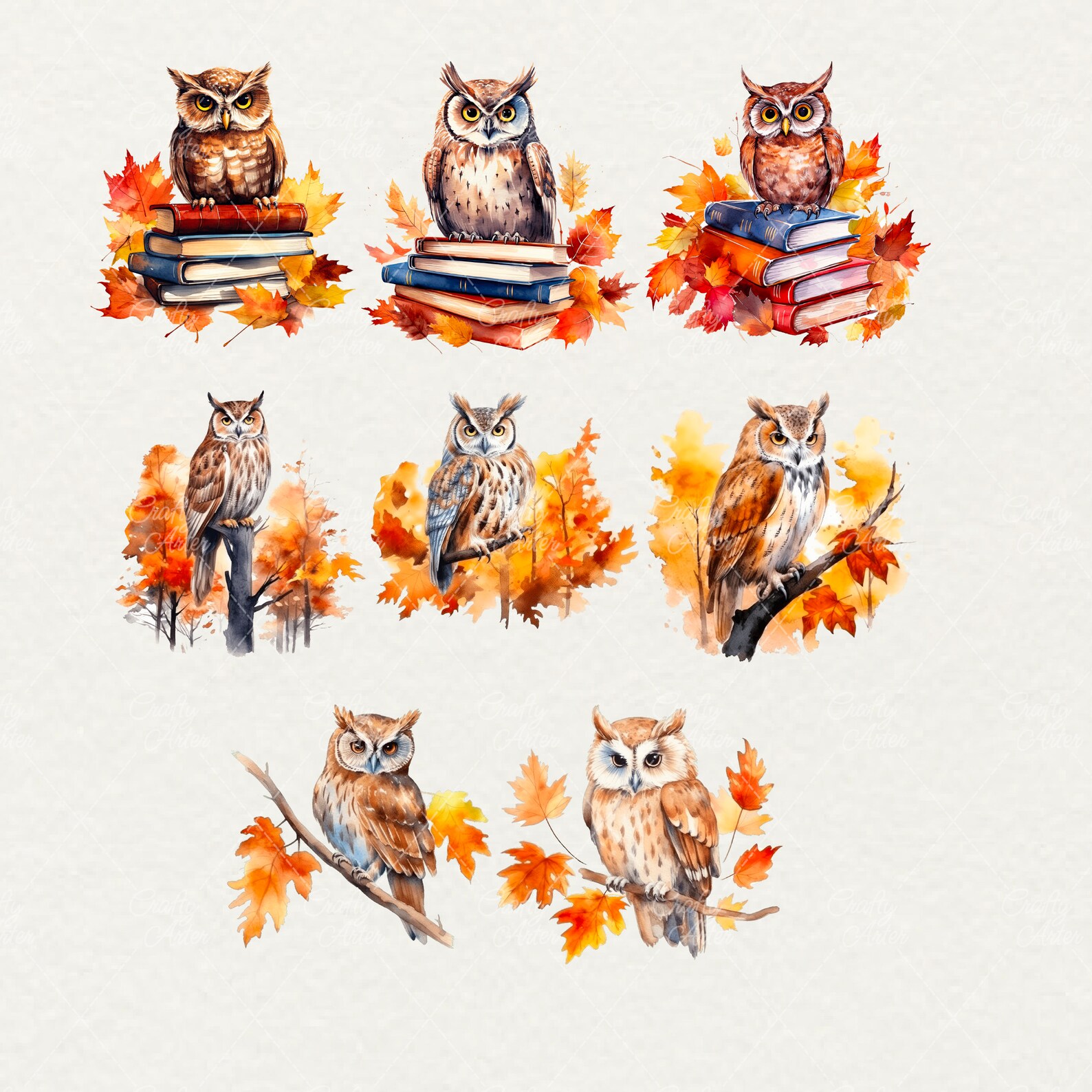 Watercolor Autumn Owl Clipart: 19 PNG Fall Animal Graphics (commercial ...