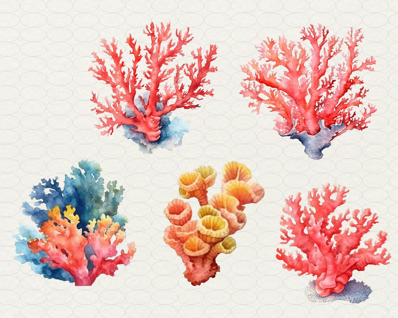 Coral Reef Clipart 31 Png Ocean Clipart Sea Clip Art Sealife - Etsy