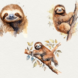 Watercolor Sloth Clipart Bundle, Cute Animal Clipart, 16 Png Instant ...