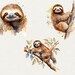 Watercolor Sloth Clipart Bundle, Cute Animal Clipart, 16 Png Instant ...