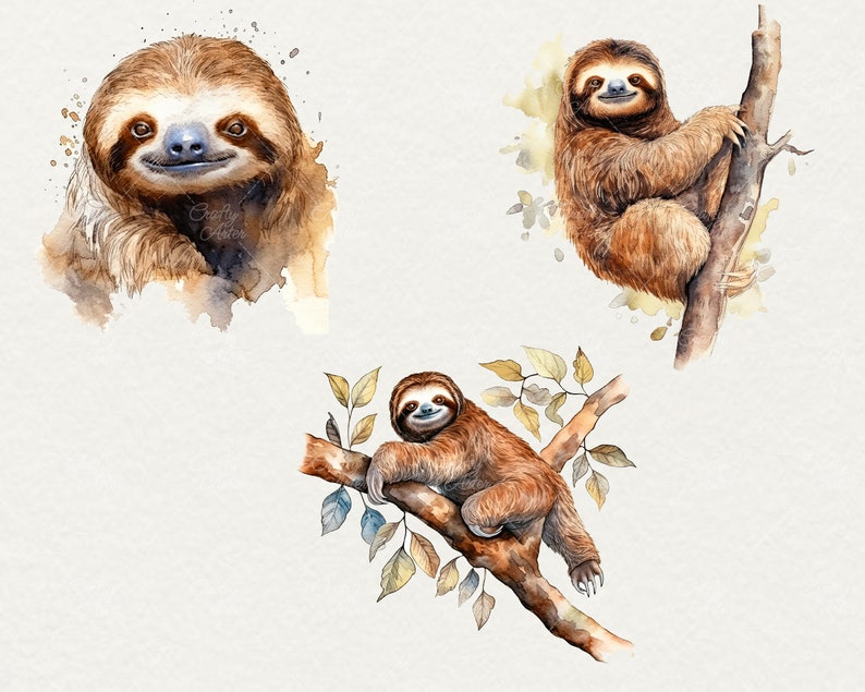 Watercolor Sloth Clipart Bundle, Cute Animal PNG (16 Files) - Etsy