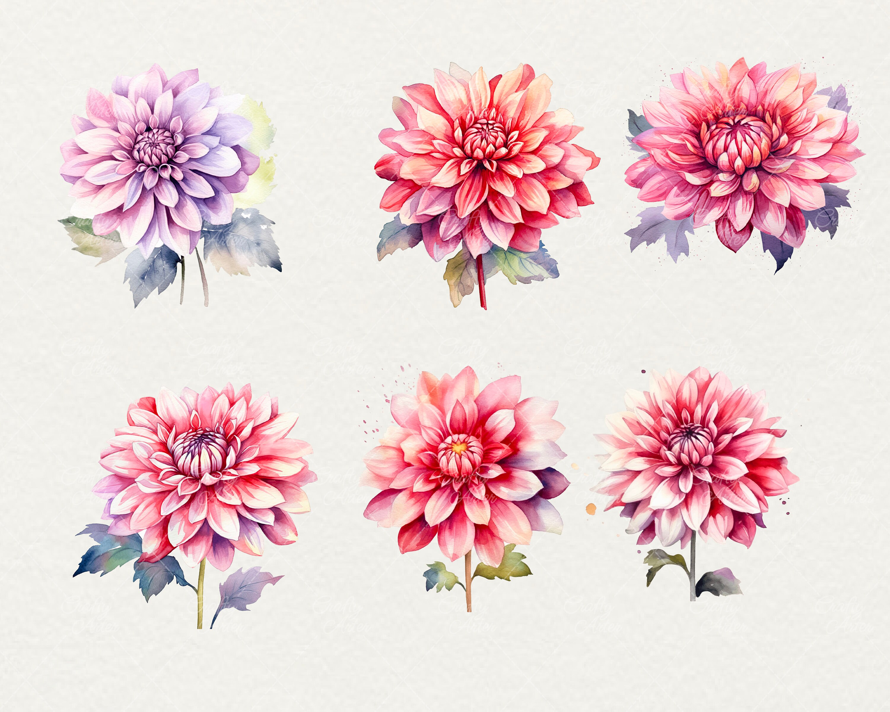 Watercolor Dahlia Clipart Png Watercolor Dahlia Flowers - Etsy