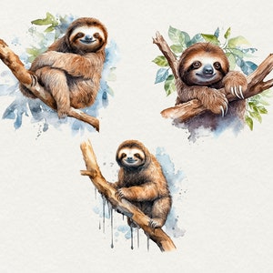 Watercolor Sloth Clipart Bundle, Cute Animal Clipart, 16 Png Instant ...