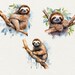 Watercolor Sloth Clipart Bundle, Cute Animal Clipart, 16 Png Instant ...