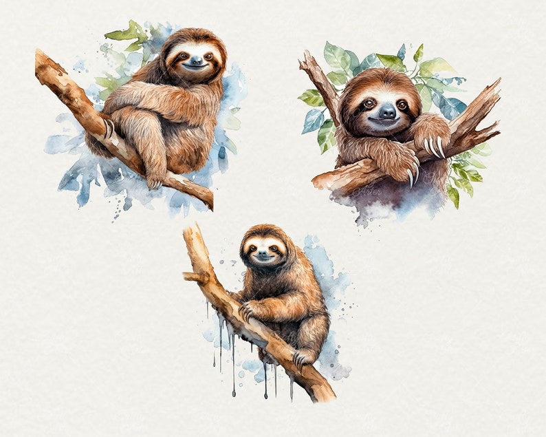 Watercolor Sloth Clipart Bundle, Cute Animal PNG (16 Files) - Etsy