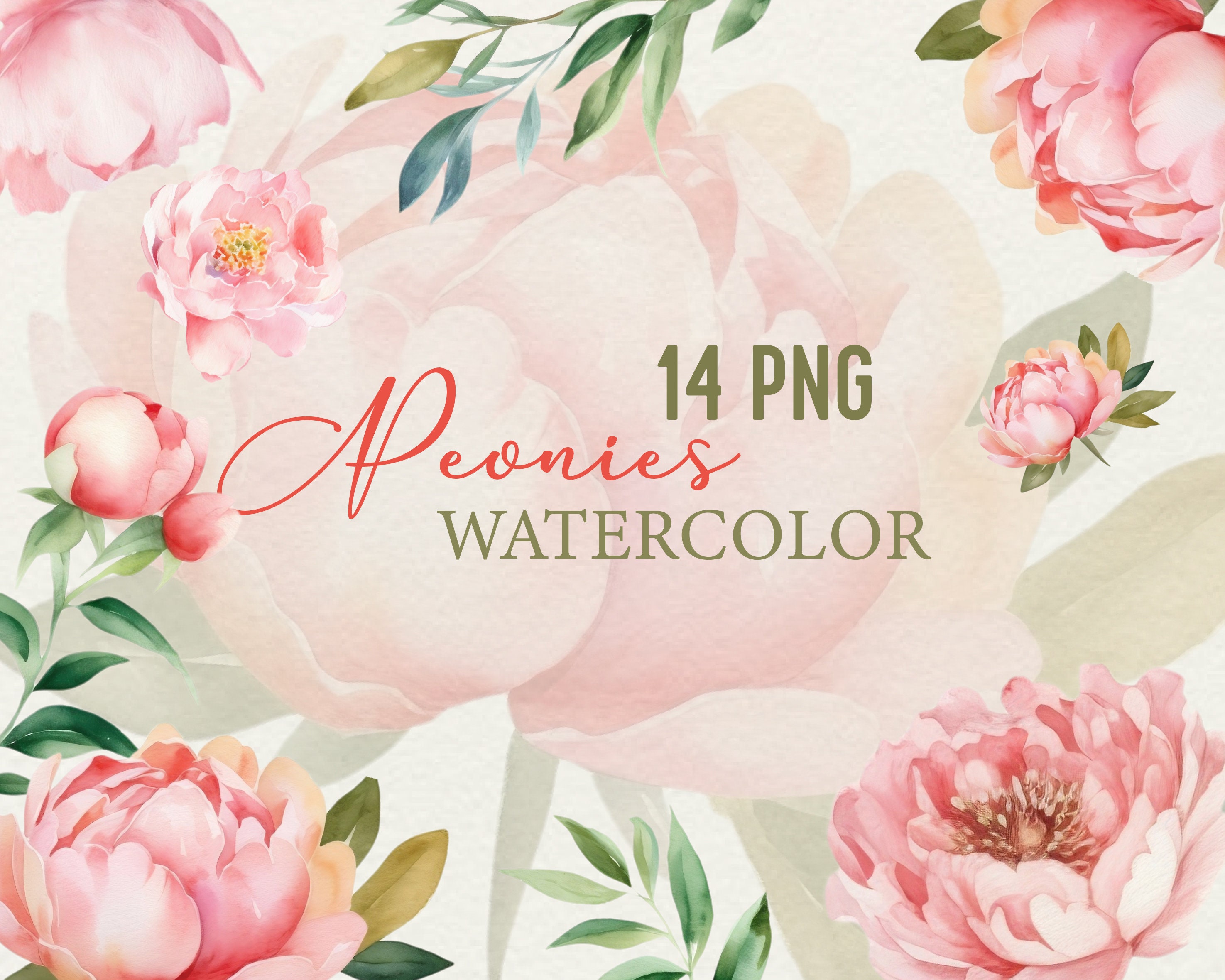 Peony Flowers Watercolor Clipart 14 PNG Peonies Clipart - Etsy