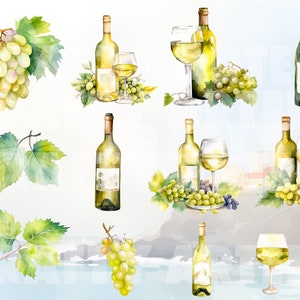 White Wine Watercolor Clipart Set: Grapes & Bottles (digital Download ...