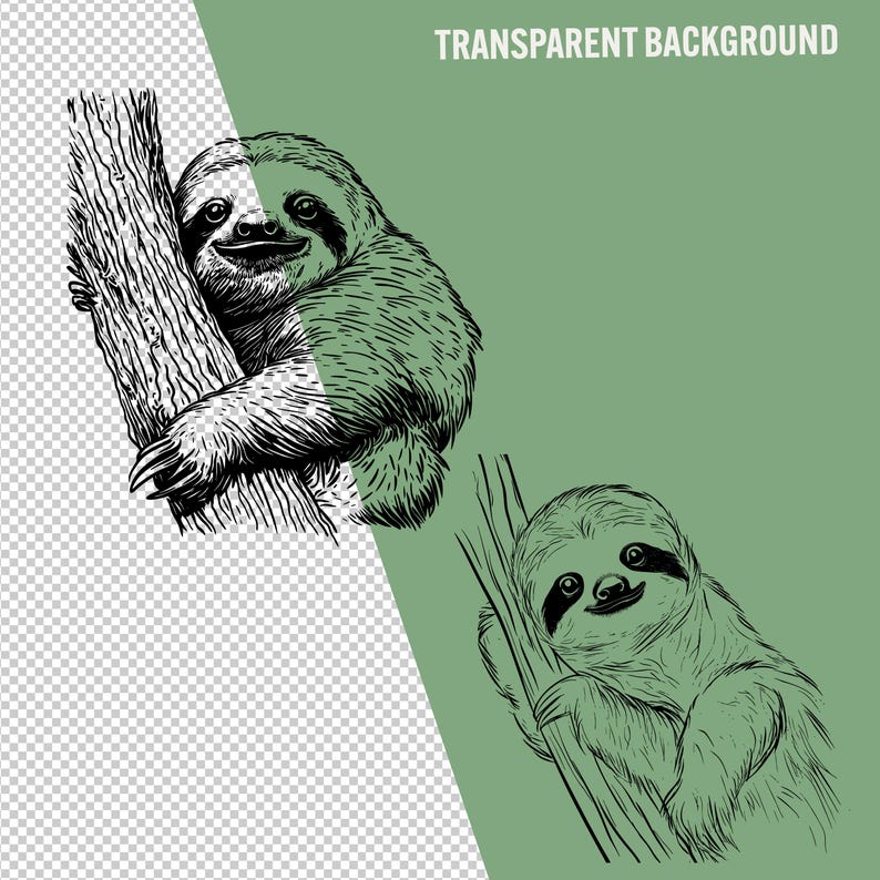 Sloth Clipart, Cute Sloth Svg, Sloth Png, Animal Graphics, Yoga Sloth ...