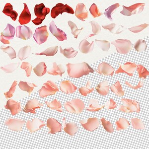 Rose Petal Overlays, Falling Petals Png, Red Rose Petal, Valentine ...