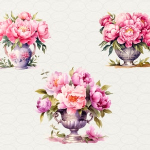 Watercolor Pink Peonies Vase Clipart, 28 Png, Sublimation Watercolor ...