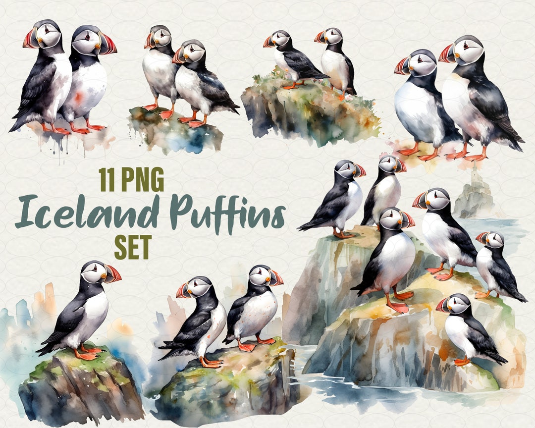Iceland Puffin Clipart, Outdoor Puffins, Glacier Puffin Bird ...