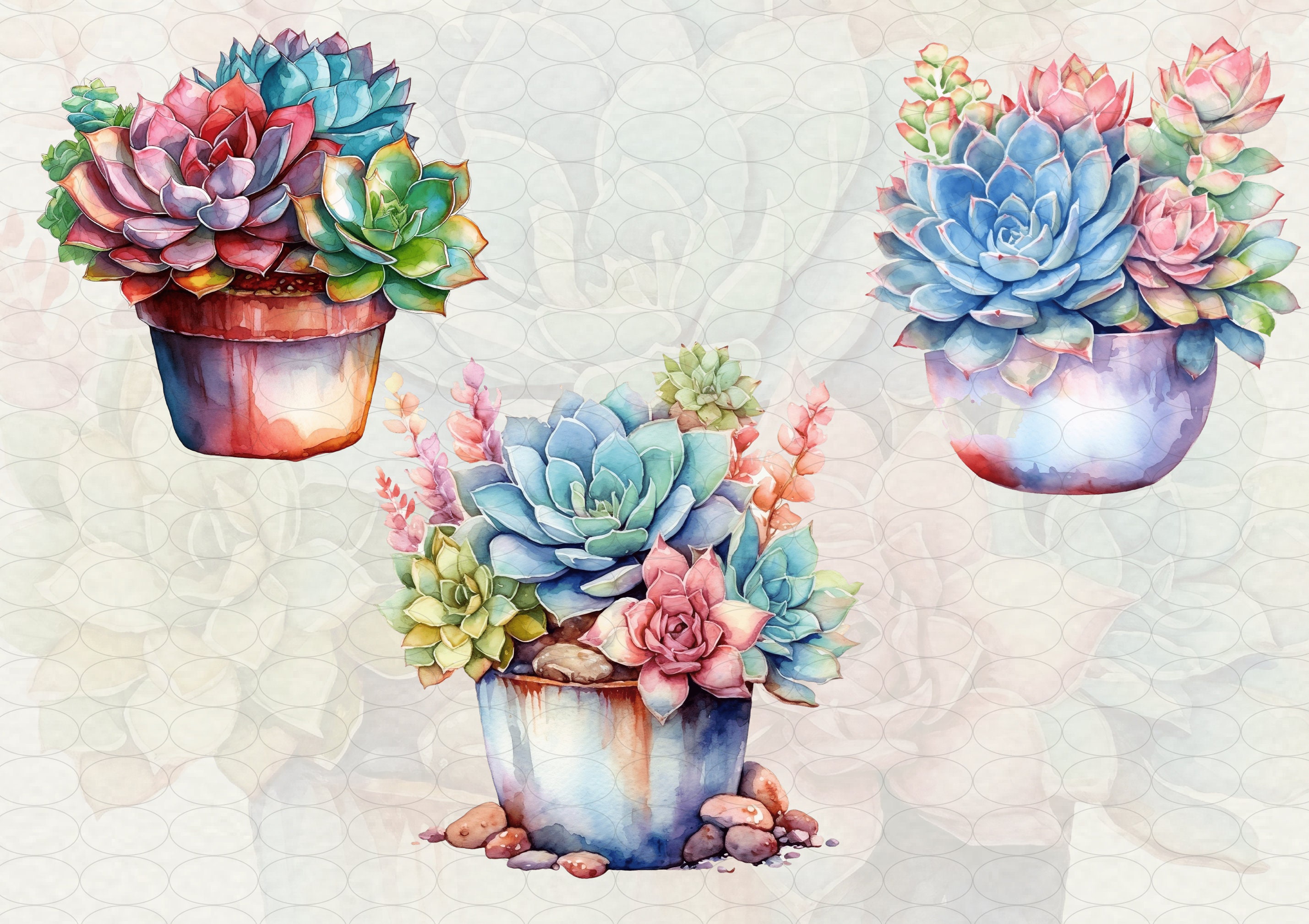 Watercolor Succulents Clipart: 20 PNG Floral Art (commercial Use) - Etsy
