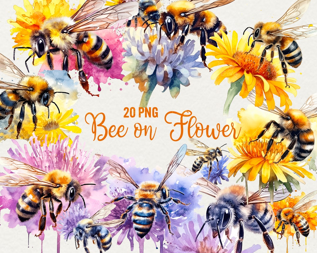 Watercolor Bee on Flower Clipart, 20 PNG Spring Garden Summer Clipart ...
