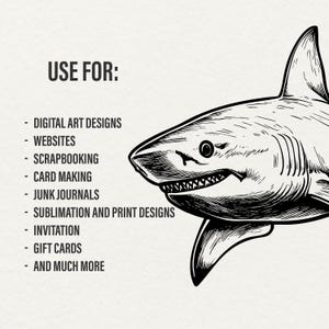 Shark Clipart Bundle: 16 PNG & 16 SVG Ocean Animal Illustrations - Etsy