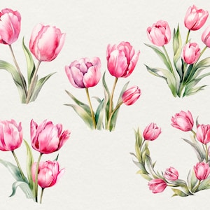 Watercolor Pink Tulips Clipart, 27 PNG Watercolor Tulips Flowers ...