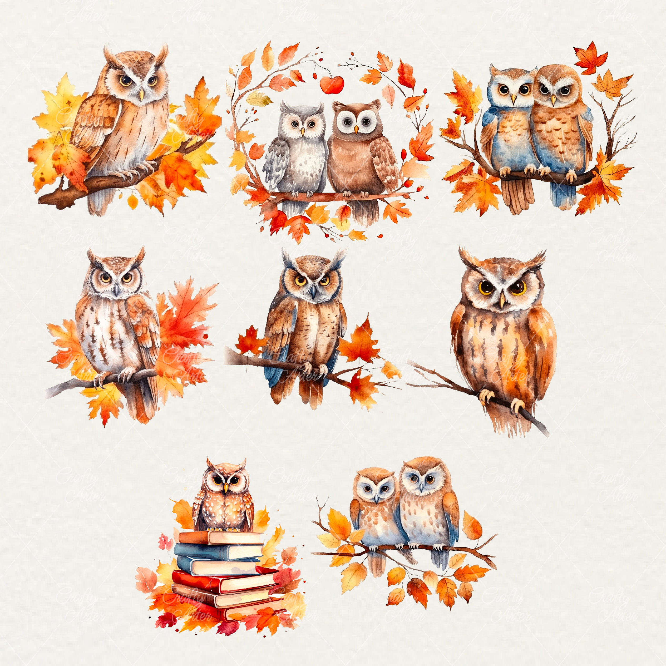 Watercolor Autumn Owl Clipart: 19 PNG Fall Animal Graphics (commercial ...