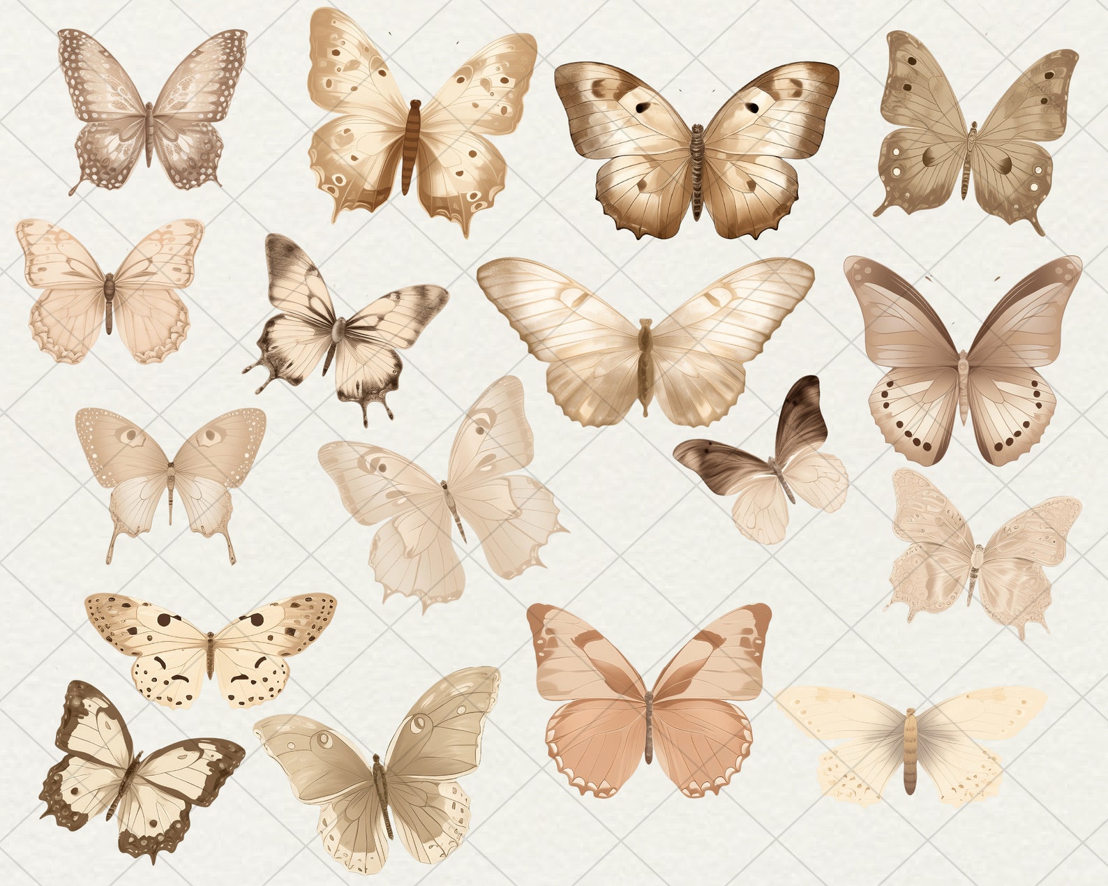 Watercolor Boho Butterfly Clipart: Cream & Beige PNG Stickers ...