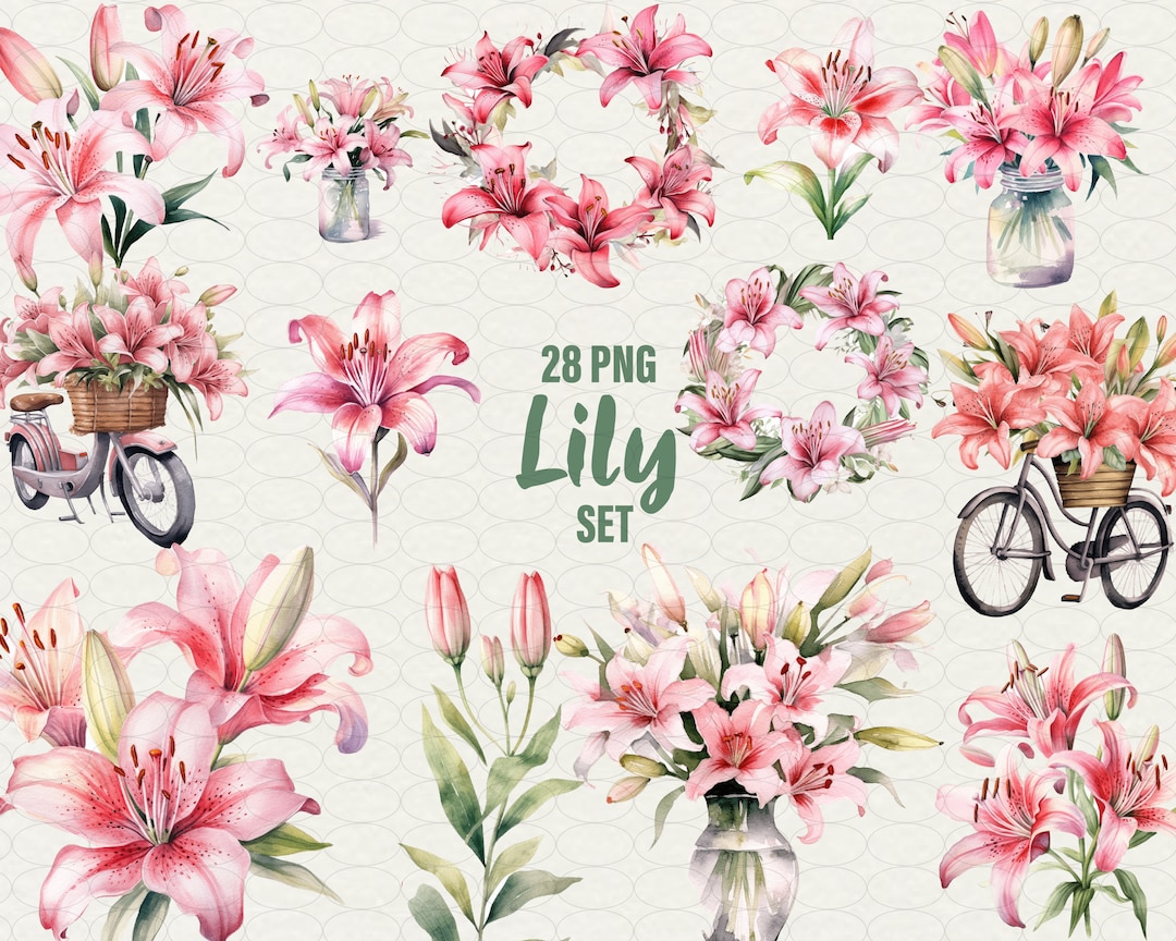 Watercolor Pink Lily Clipart: Floral PNG Illustrations (commercial Use ...