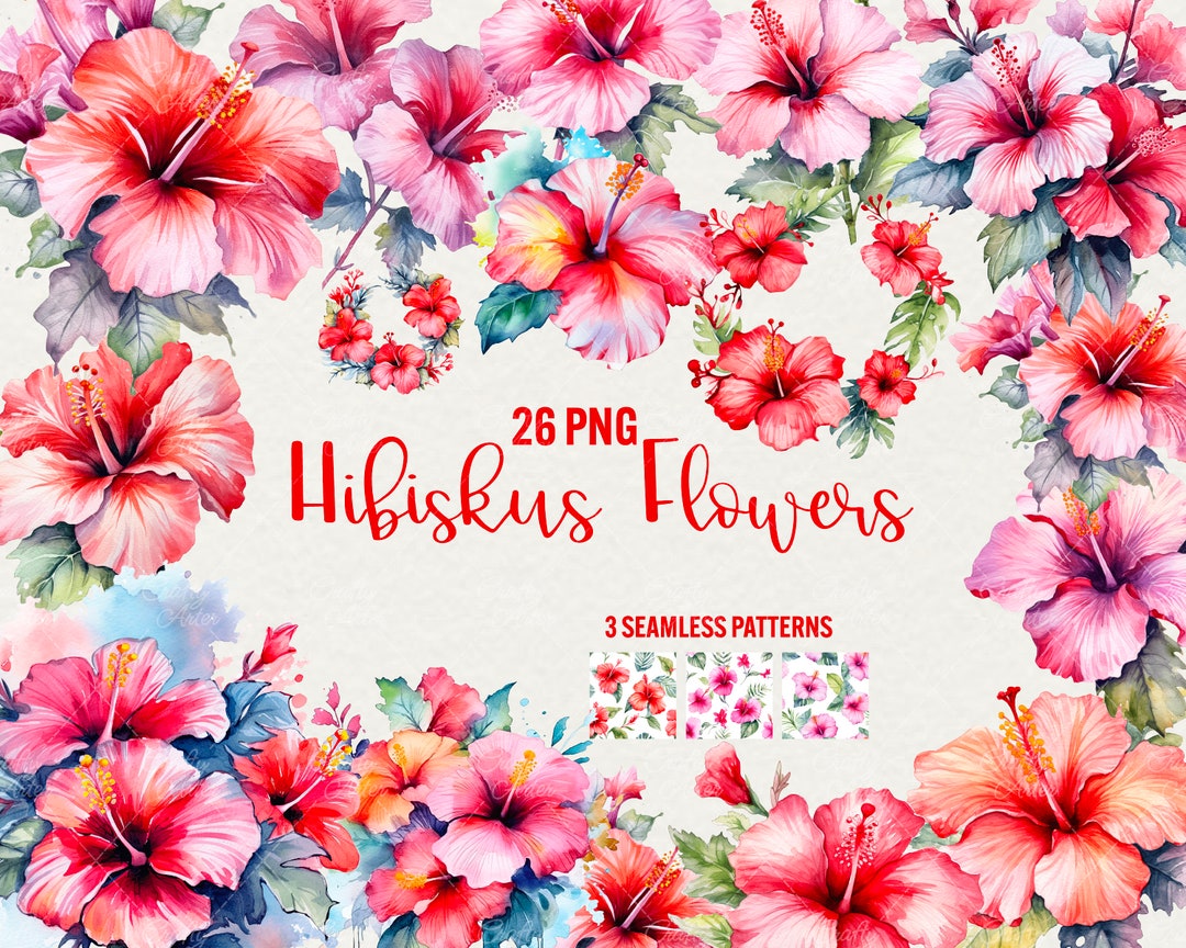 Watercolor Hibiscus Clipart, 26 Png Watercolor Hawaii Flowers Clipart ...