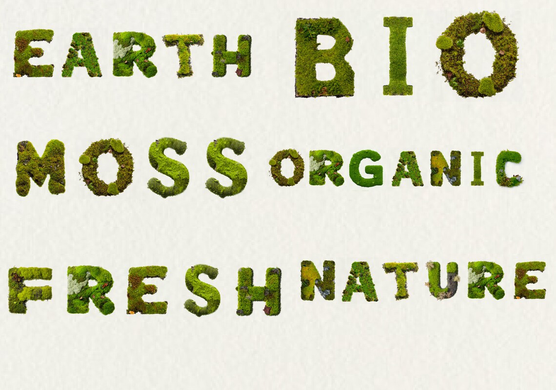 Moss Alphabet Latin Letters Made of Grassland. Clipart Png. - Etsy