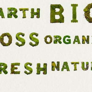 Moss Alphabet Latin Letters Made of Grassland. Clipart Png. - Etsy