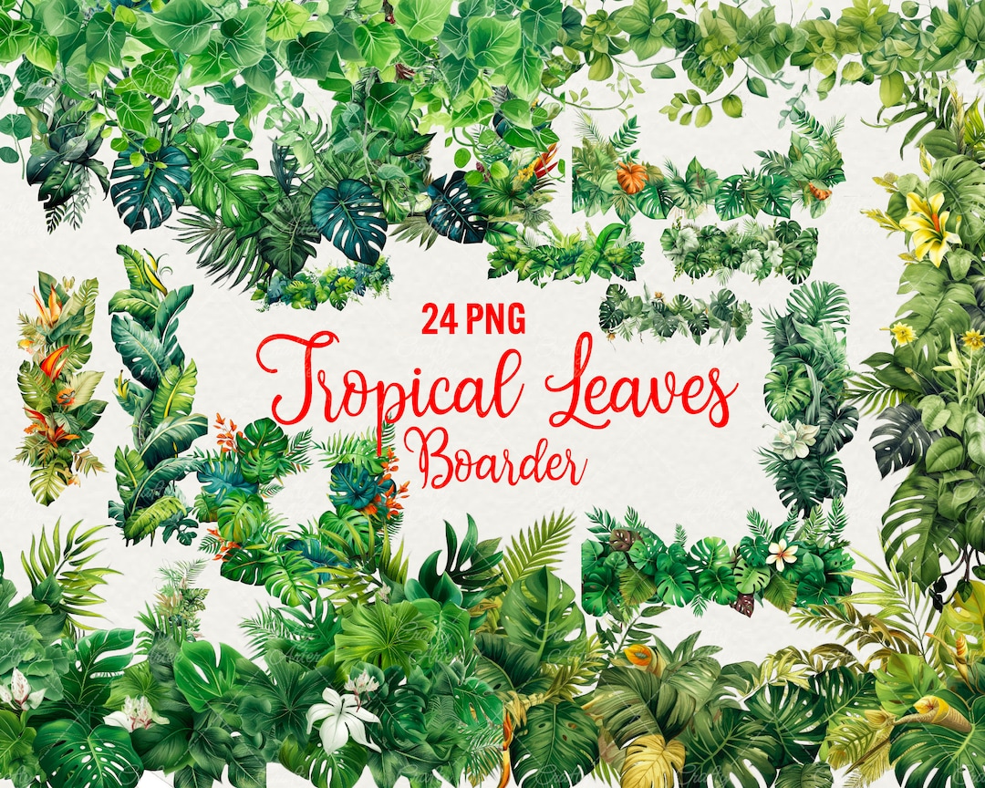 Watercolor Tropical Leaves Clipart, Tropical Boarder 24 PNG Clip Art ...