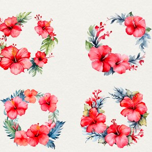 Watercolor Hibiscus Clipart, 26 Png Watercolor Hawaii Flowers Clipart ...