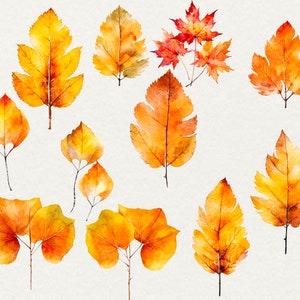 Watercolor Autumn Leaves Clipart, 58 PNG Mega Set Bundle Watercolor ...