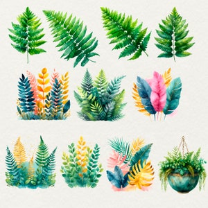 Watercolour Ferns Clipart Bundle, 30 Png Green Fern Leaves, Floral ...
