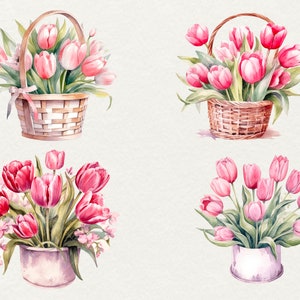 Watercolor Pink Tulips Clipart, 27 PNG Watercolor Tulips Flowers ...