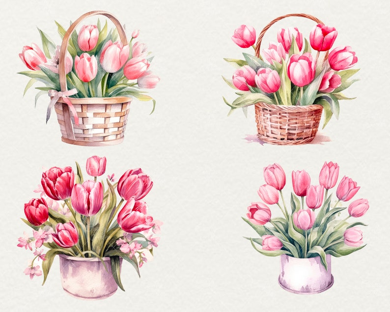 Watercolor Pink Tulips Clipart 27 PNG Watercolor Tulips - Etsy