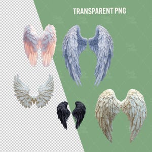 Angel Wings Overlays, 28 Png Angel Wings Overlay, Realistic Feathered ...