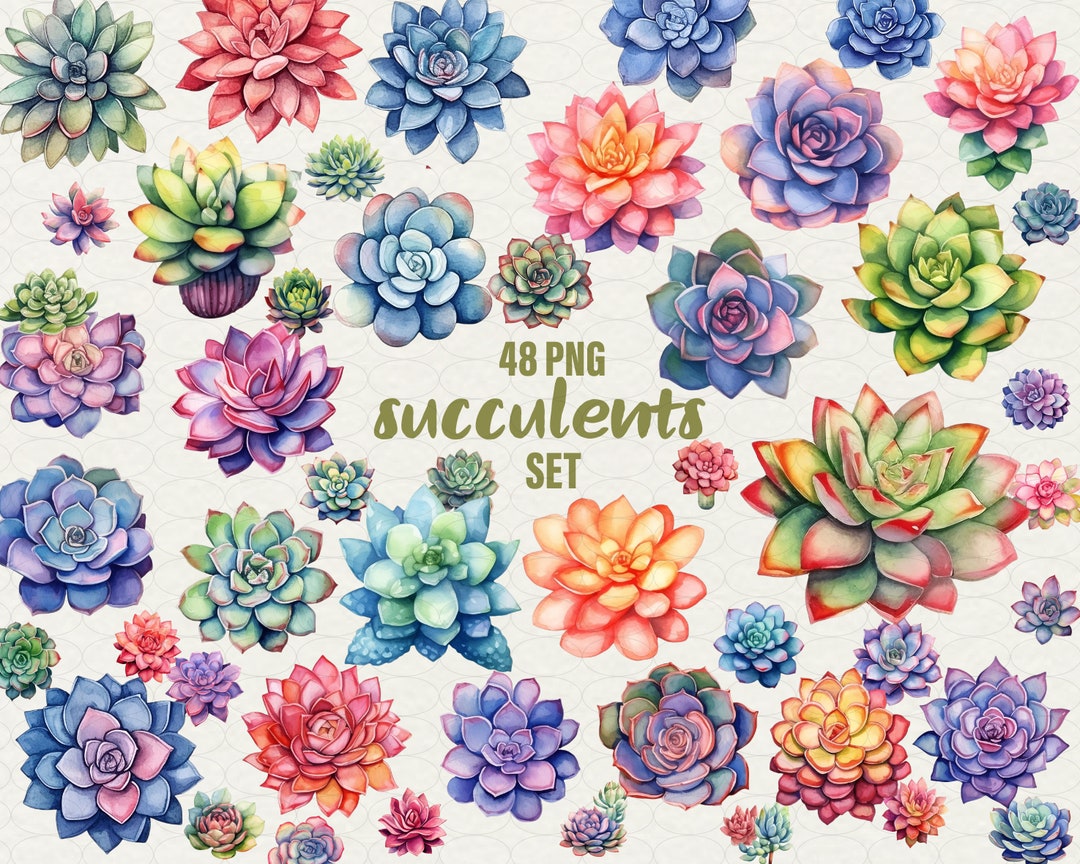 Watercolor Succulent Clipart: 48 PNG Floral & Cactus Illustrations ...