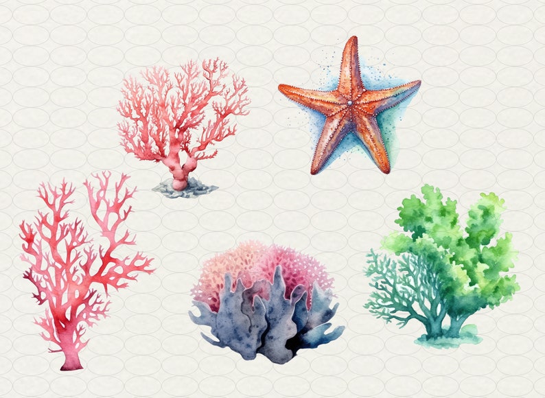 Watercolor Coral Reef Clipart: 30 PNG Sea Life Graphics (commercial Use ...