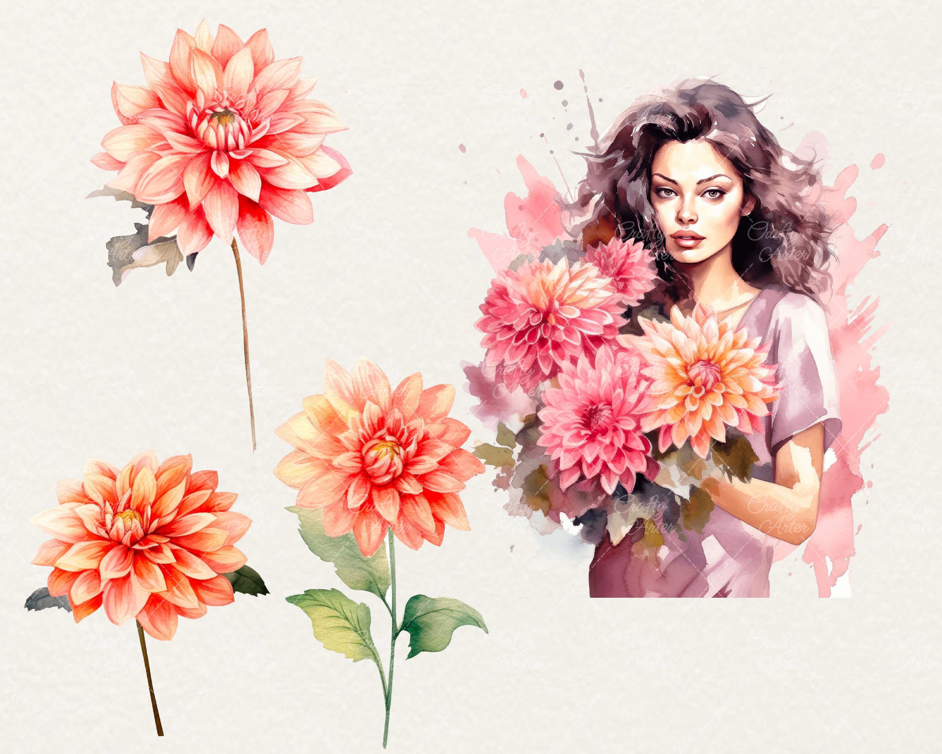 Watercolor Dahlia Clipart Png Watercolor Dahlia Flowers - Etsy