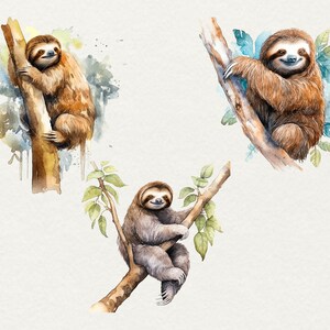 Watercolor Sloth Clipart Bundle, Cute Animal PNG (16 Files) - Etsy