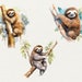 Watercolor Sloth Clipart Bundle, Cute Animal Clipart, 16 Png Instant ...
