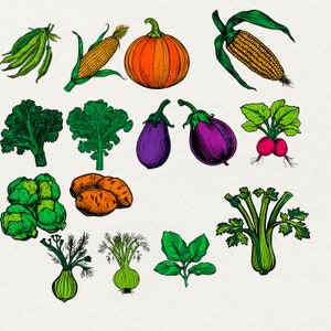 Vegetables Svg Bundle, Veggie Png/ Svg Clipart, Farmers Market, Healthy ...