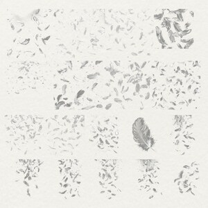 Falling Feather Overlays, Feather Png, Floating Feathers, Photoshop ...