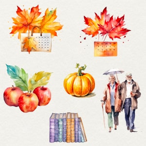 Watercolor Autumn Clipart: 42 PNG Fall Illustrations (commercial Use ...