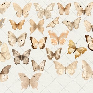 Watercolor Boho Butterfly Clipart: Cream & Beige PNG Stickers ...