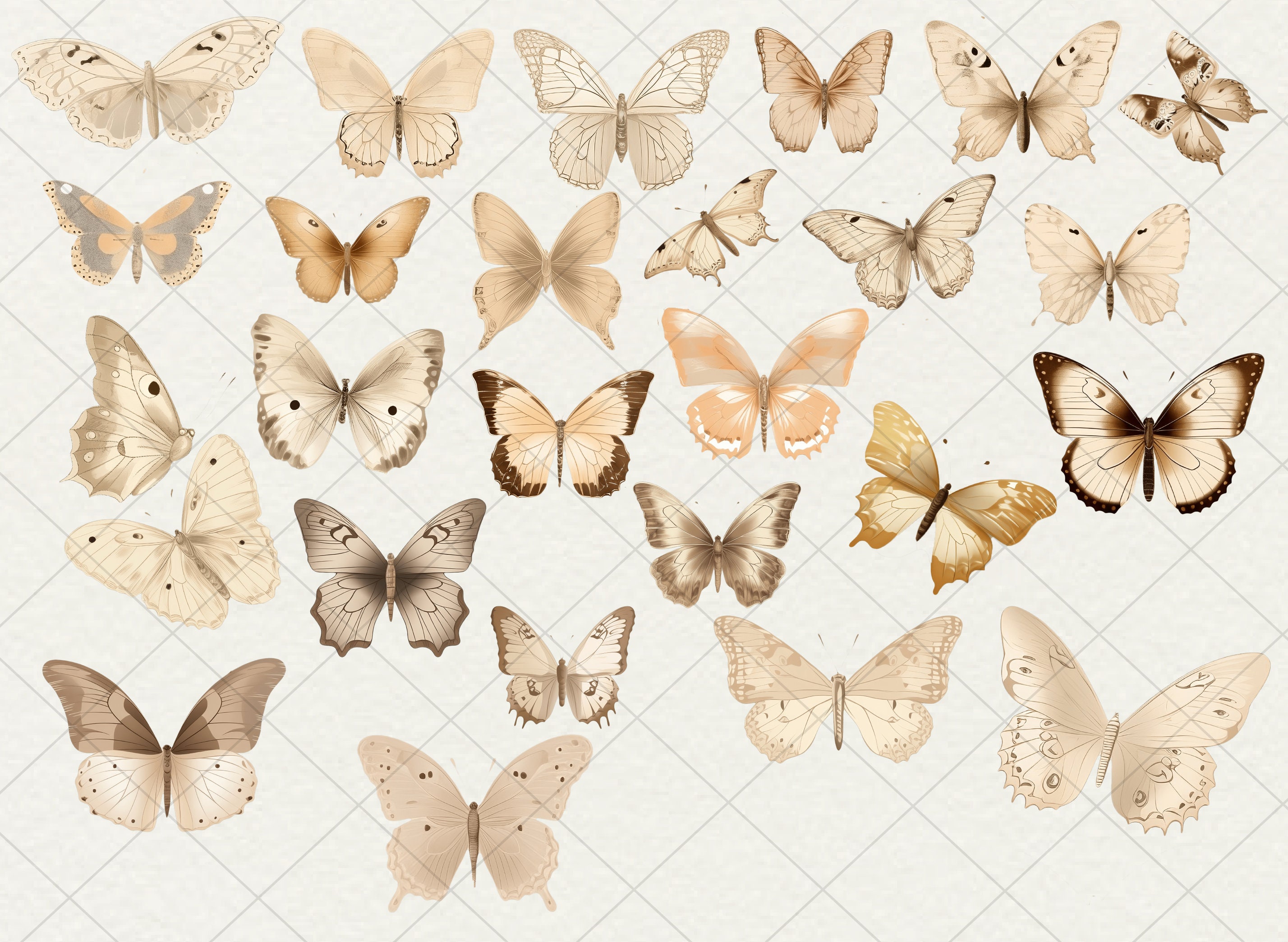 Watercolor Boho Butterfly Clipart: Cream & Beige PNG Stickers ...